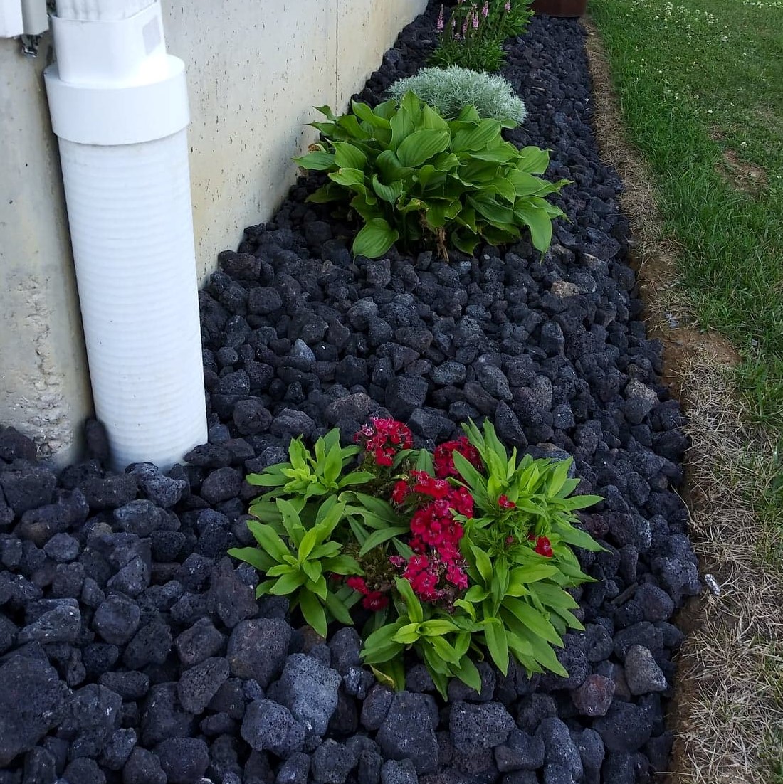 Grass Maintenance | KF